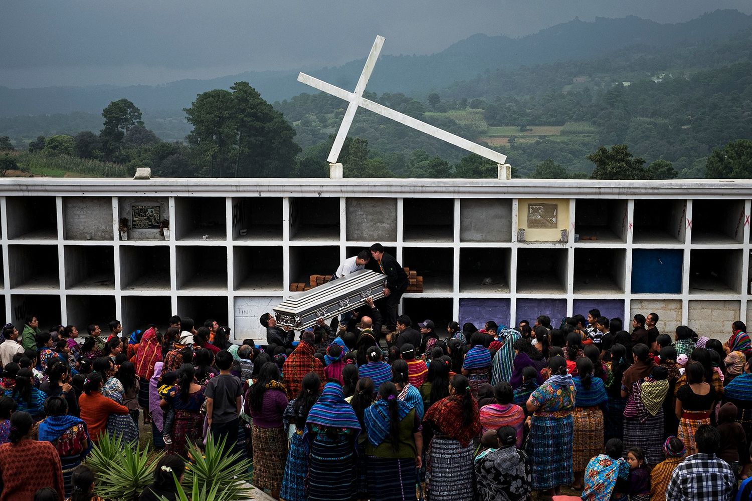 Dead and Alive - Photographs by Klaus Bo | Essay by Gina Williams ...