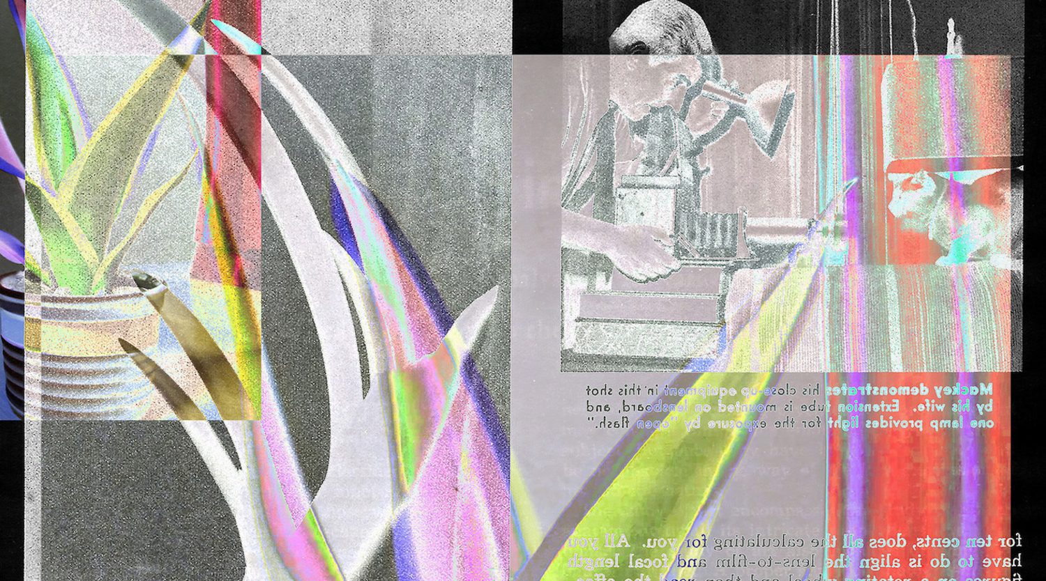 LensCulture - Contemporary Photography