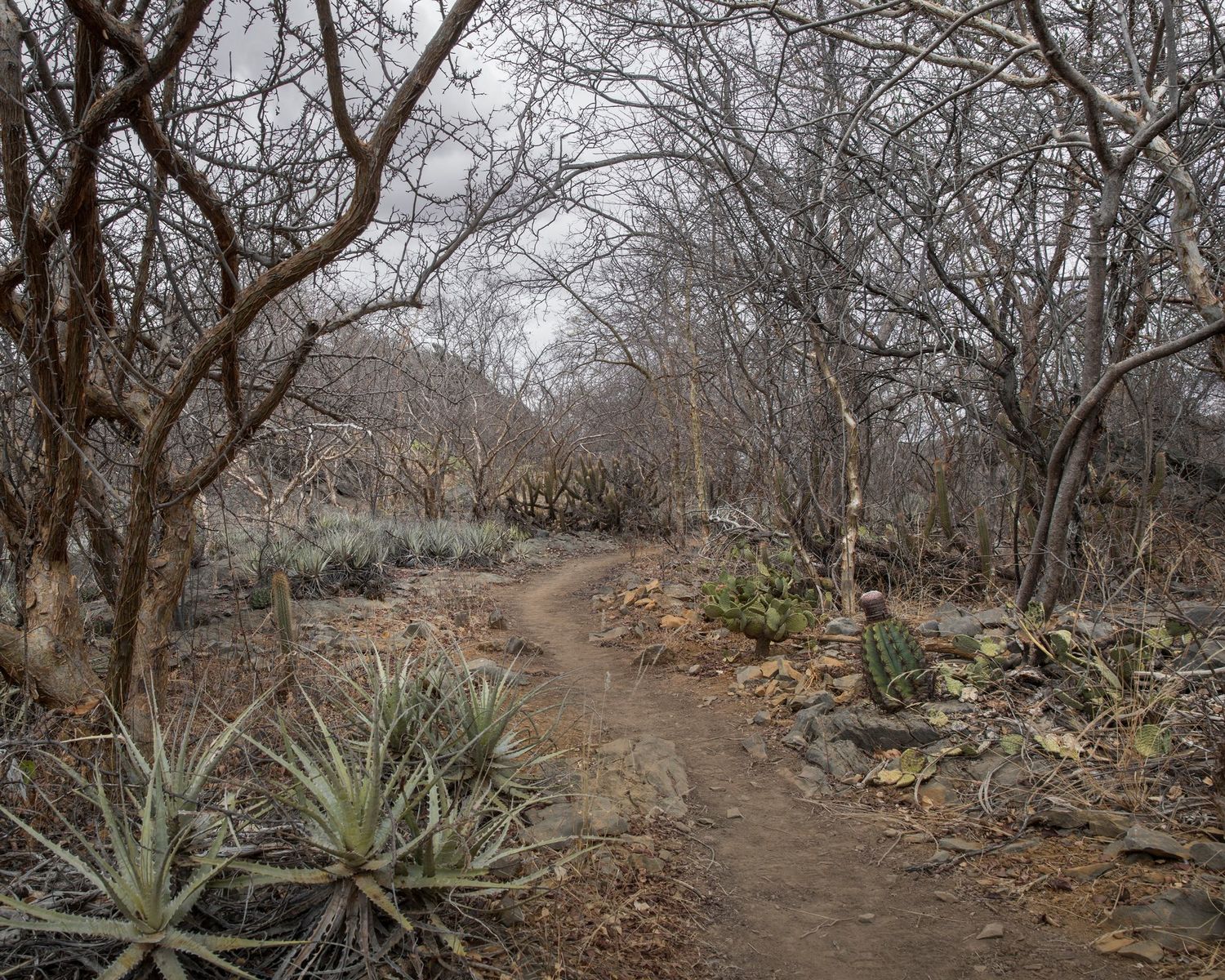 Backlands: The Story of Two Brazils - Photographs and text by Felipe ...