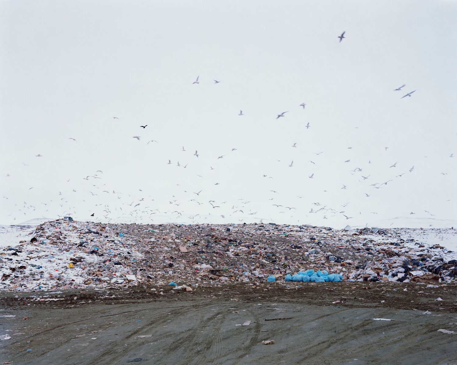 Simply Paying Attention With Alec Soth - Alexander Strecker in ...