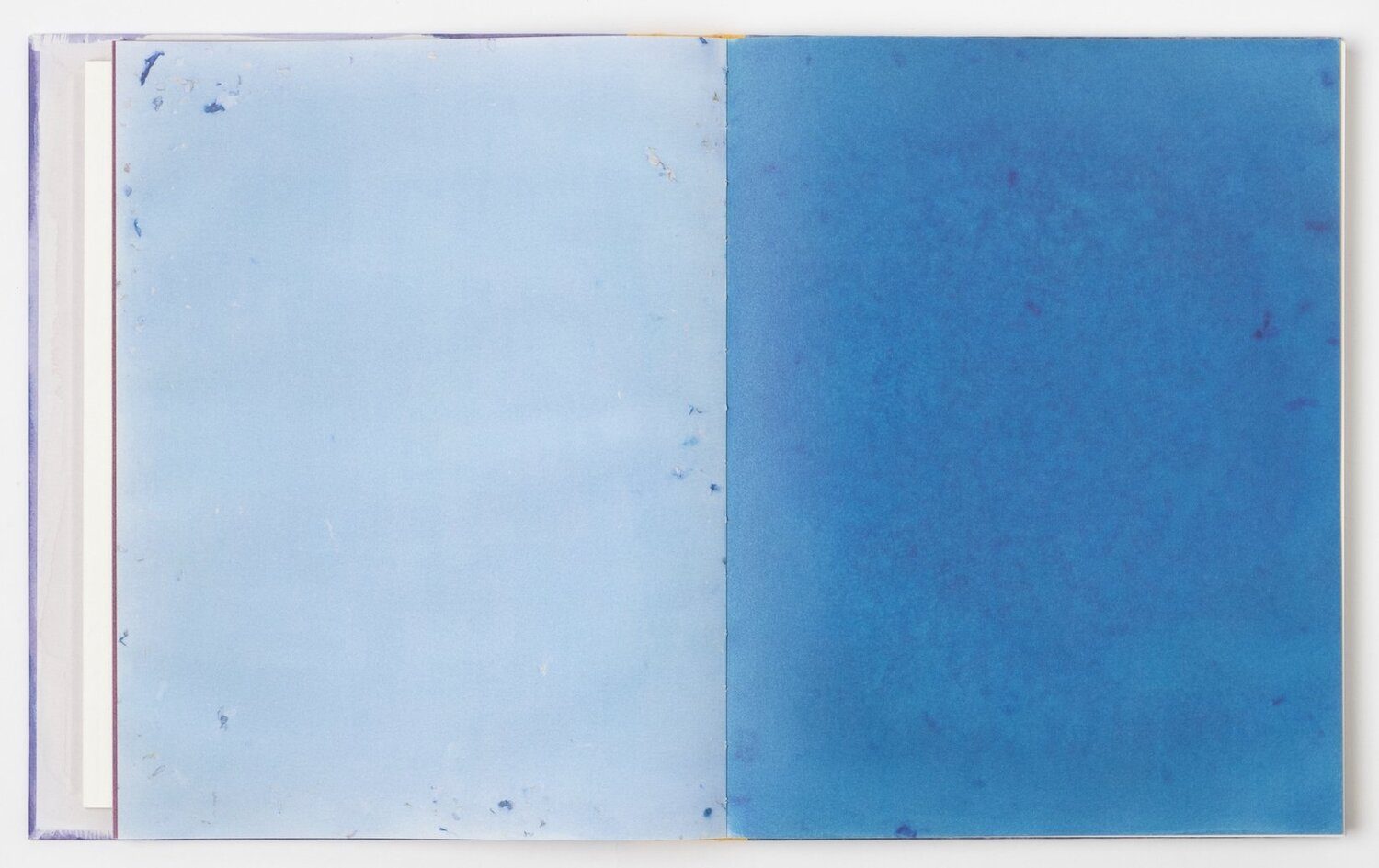 This Earthen Door — Sublime Anthotypes, Preserved Plants & Poetry ...