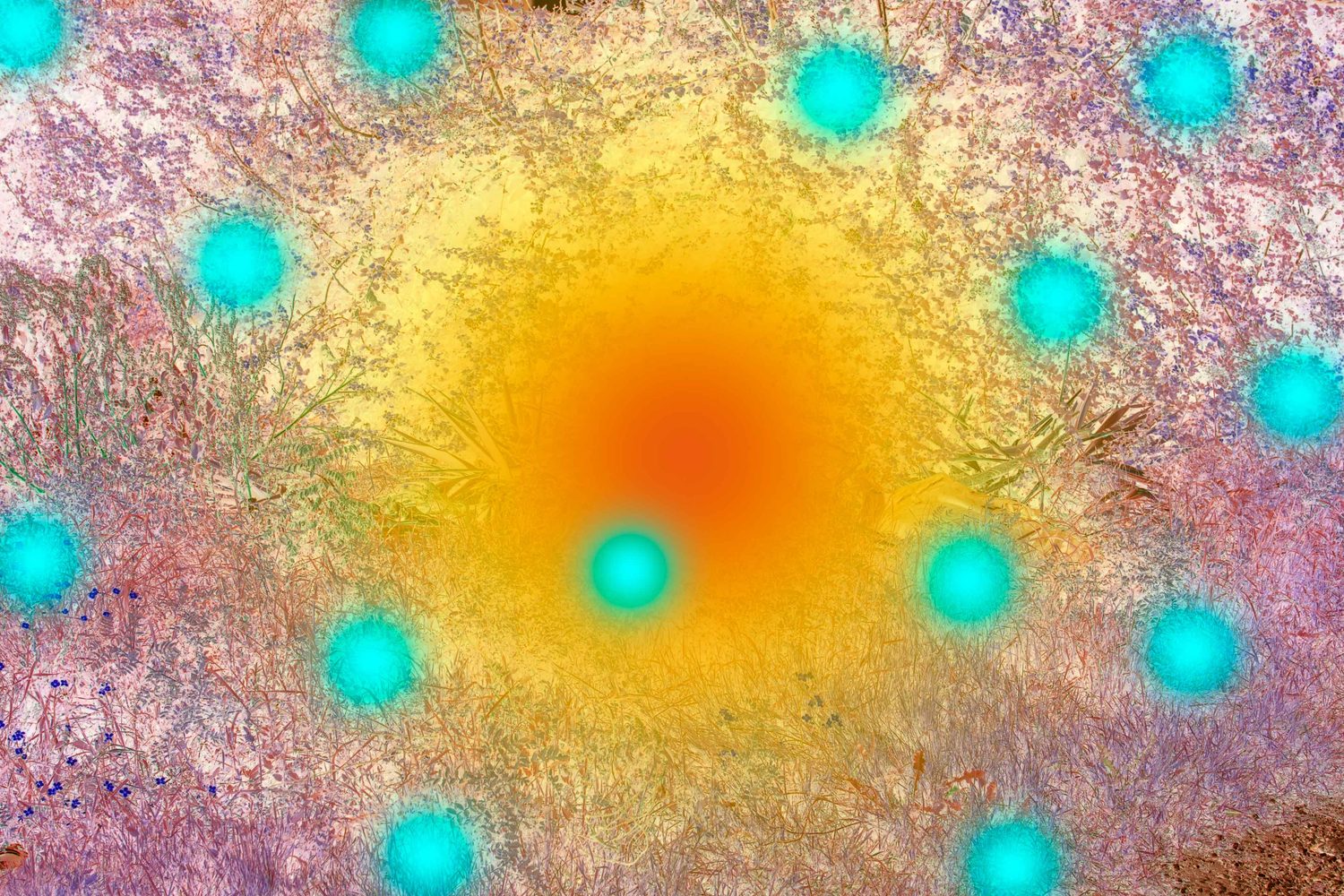 Metamorphosis - Photographs by Claudia Fuggetti | Interview by Sophie Wright | LensCulture