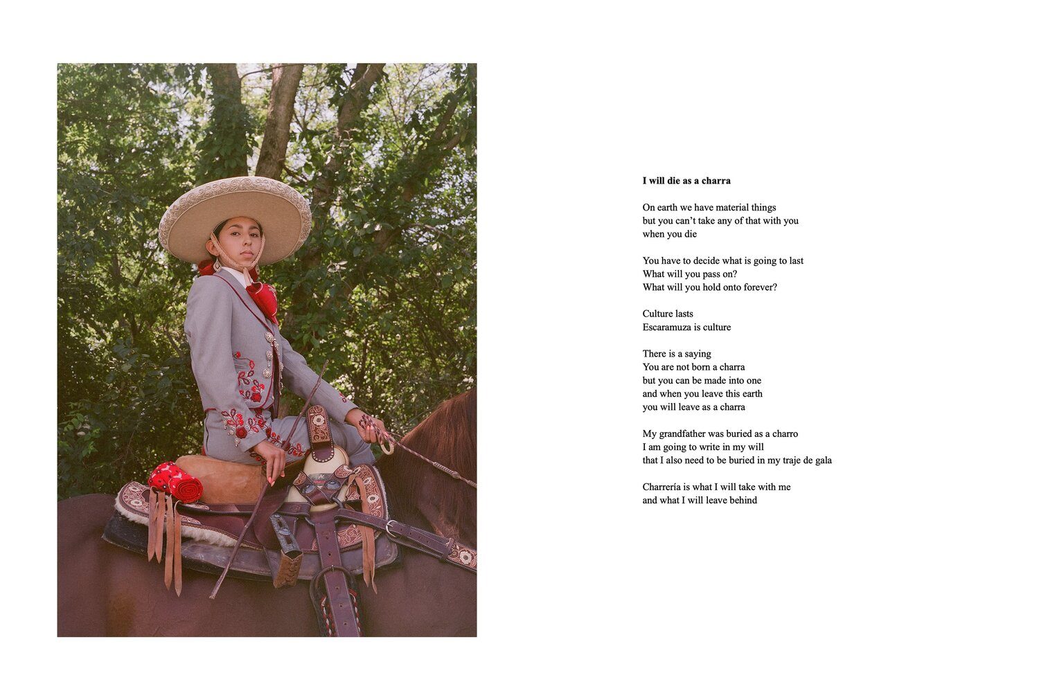 Escaramuza, the Poetics of Home - Photographs by Constance Jaeggi ...