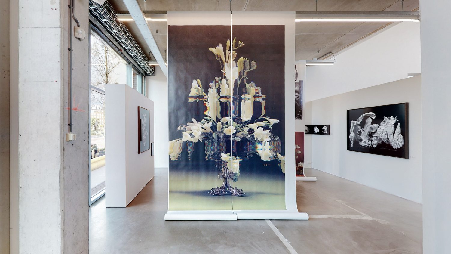 The Constellation - Photographs by Nico Krijno | Essay by Magali Duzant ...