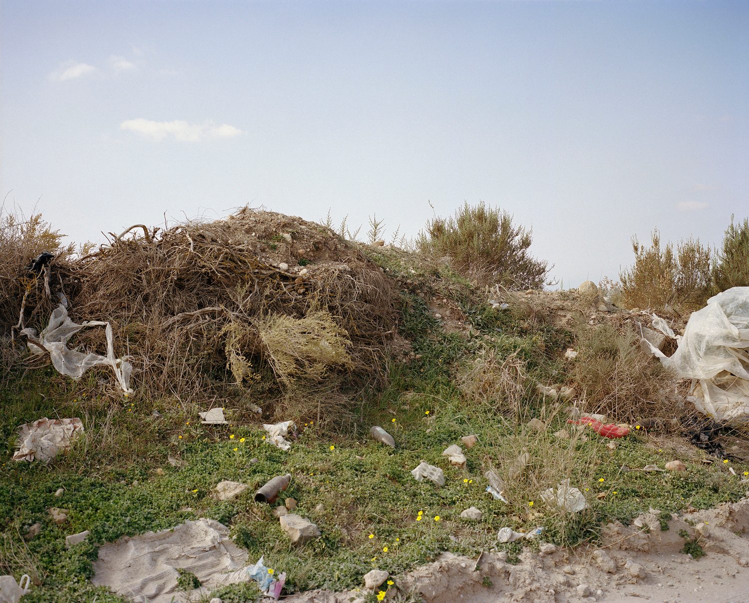 Agony in the Garden - Photographs by Lua Ribeira | Exhibition review by ...