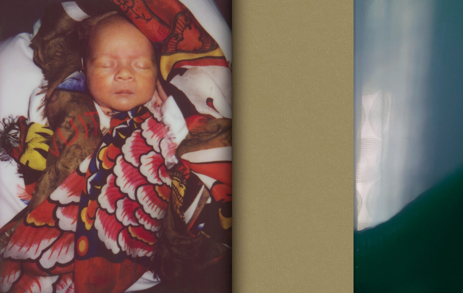 The Quickening - Photographs by Ying Ang | Essay by Daniel Boetker ...