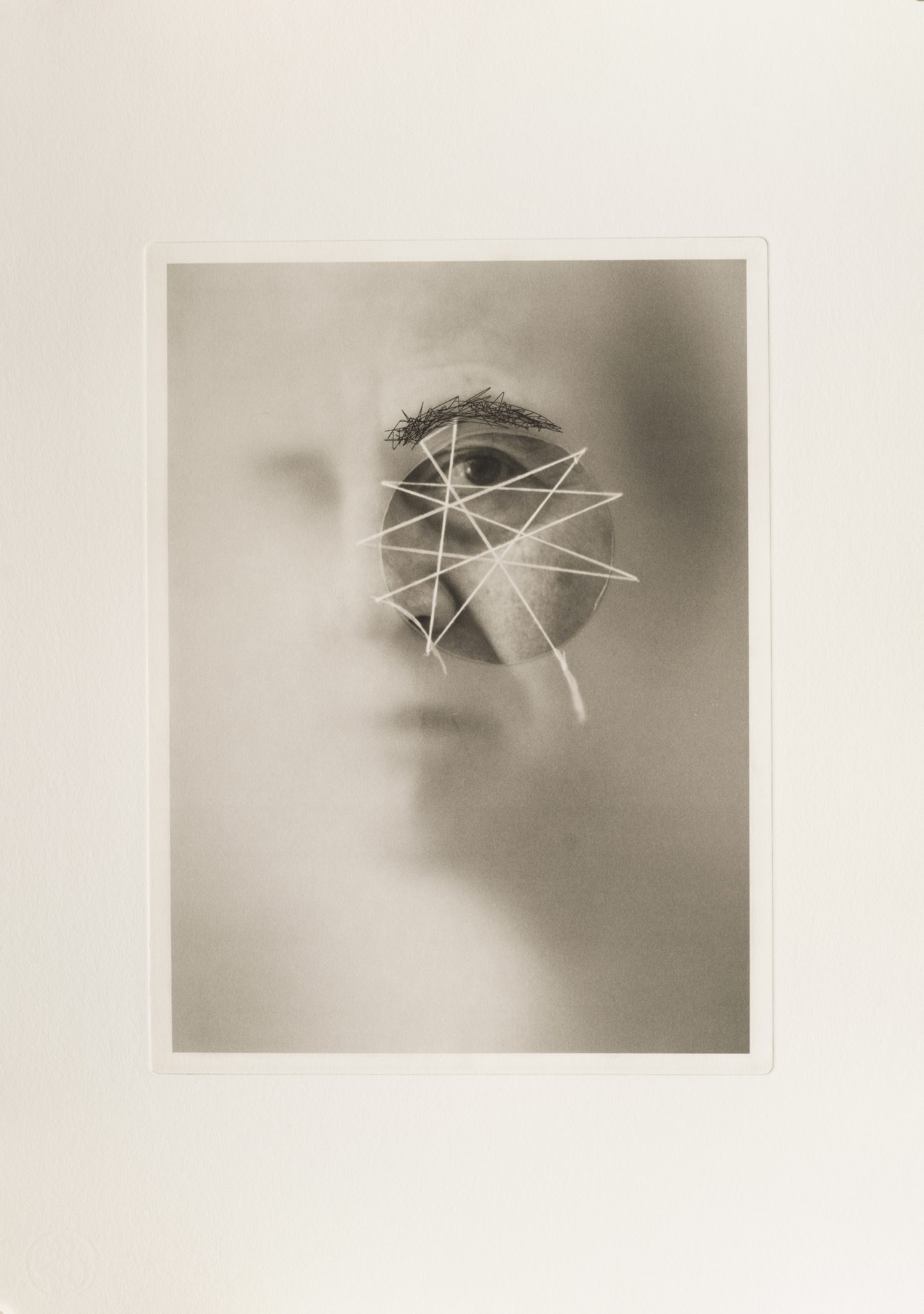 Apparent Close-up - Photographs by Cathy Cone | Text by Magali Duzant ...