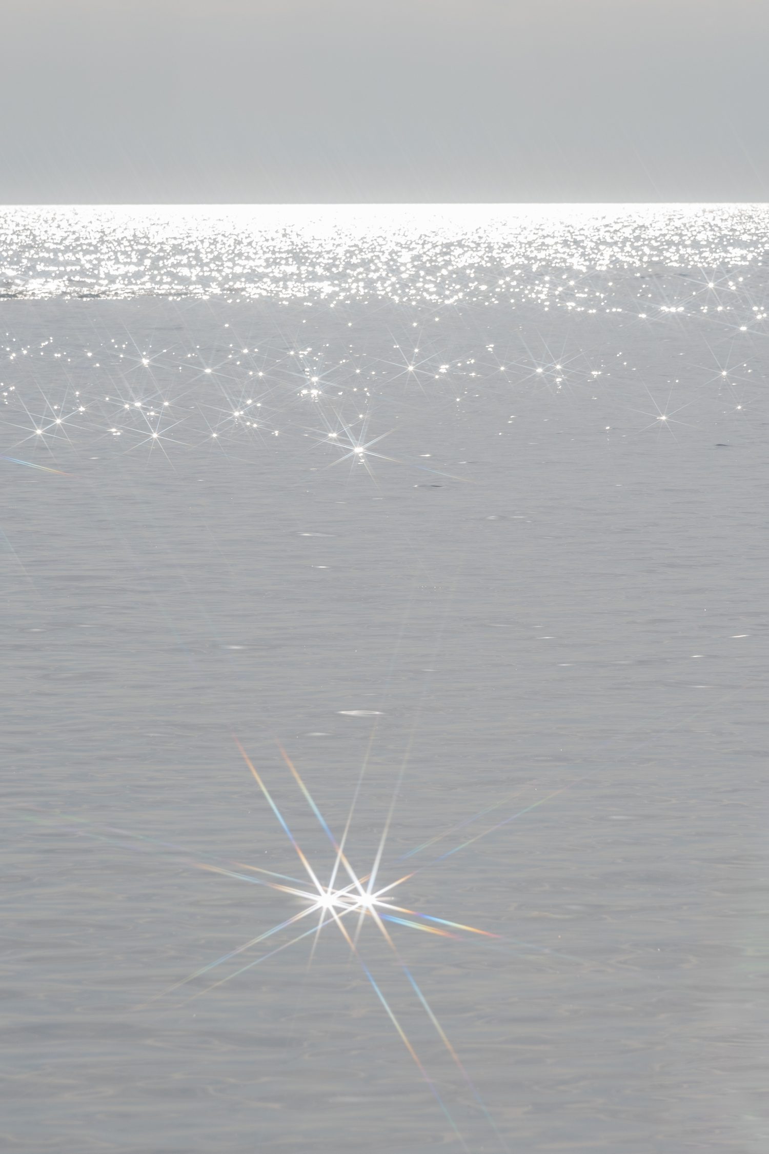 Metamorphosis Photographs By Claudia Fuggetti Interview By Sophie