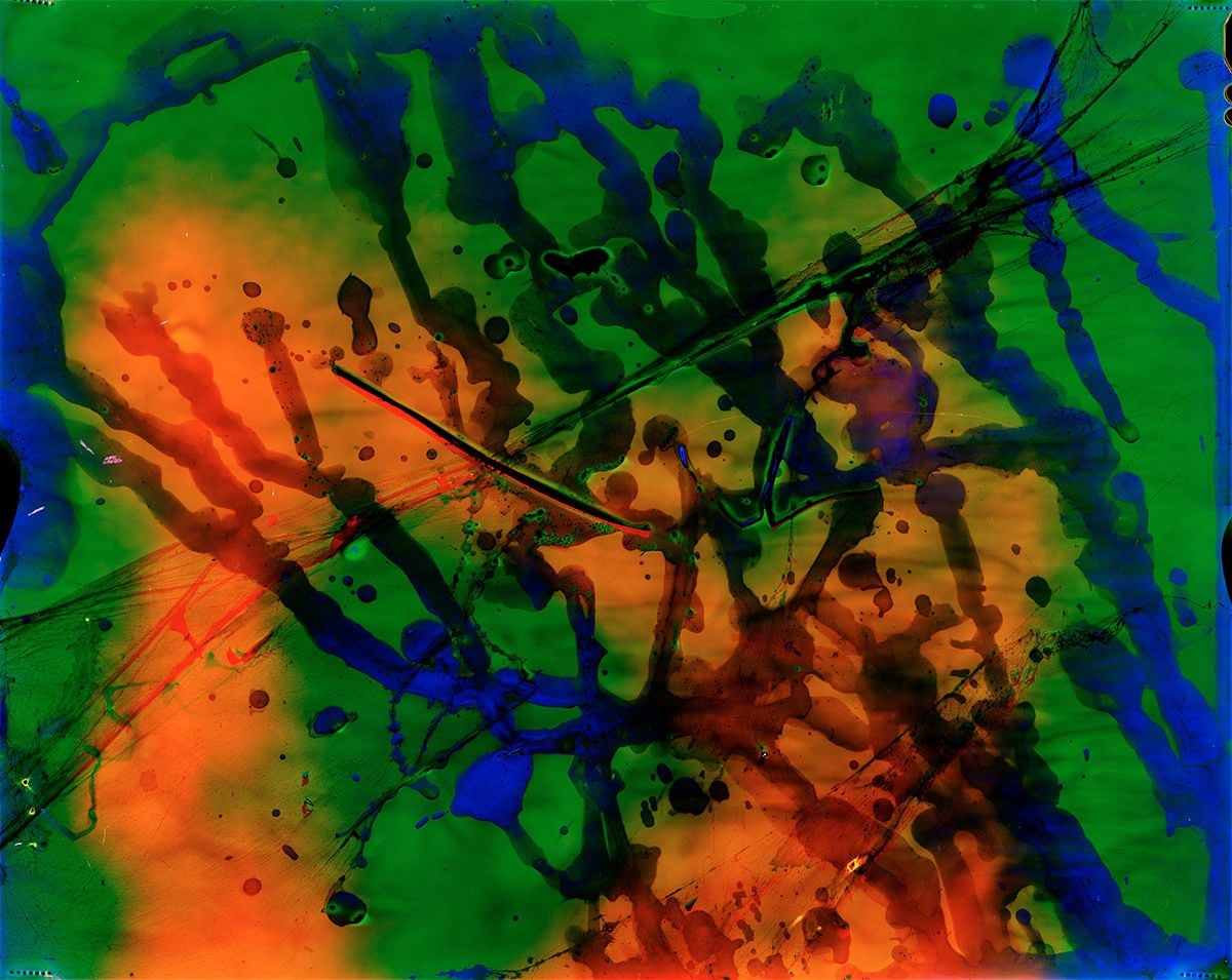 Michael Flomen’s All-Natural Photograms - Photographs by Michael Flomen ...