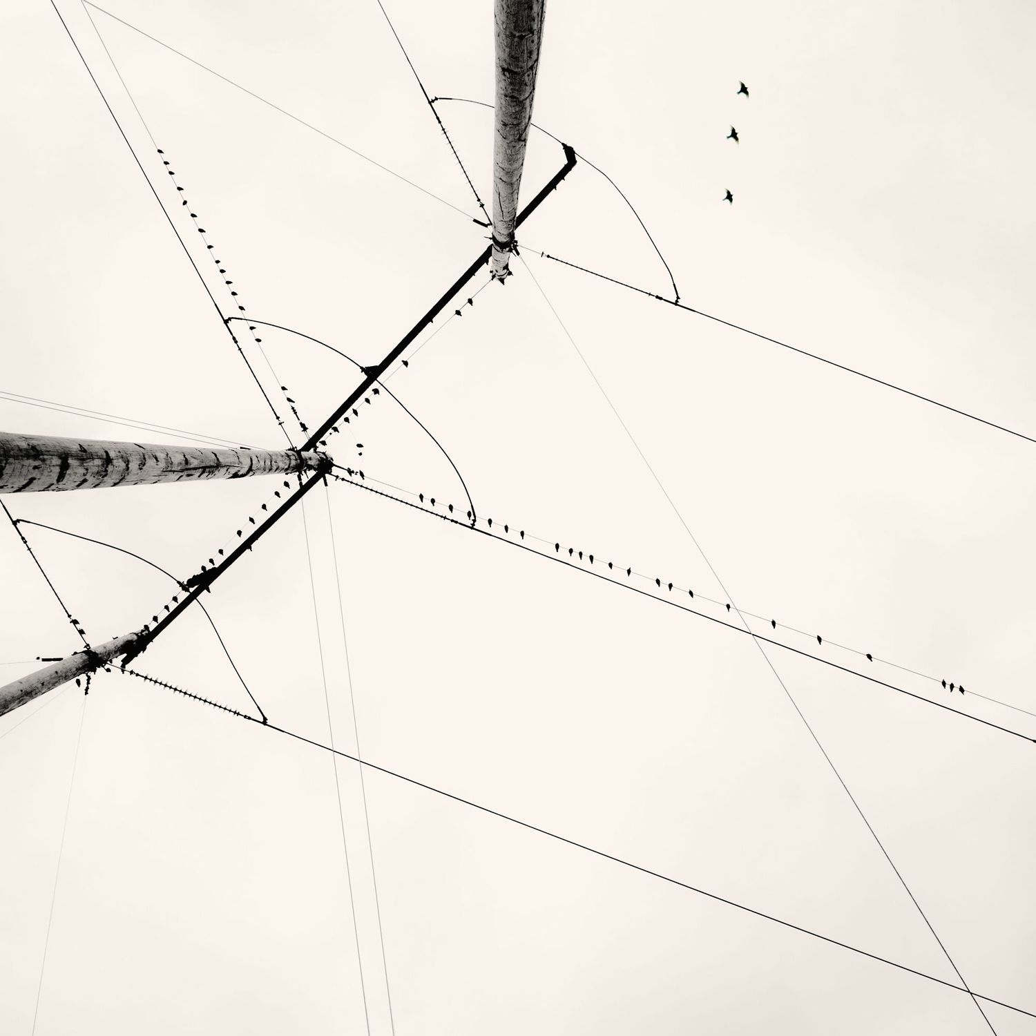 Revelatio: The Unveiling of Fundamental Forms - Photographs and text by ...