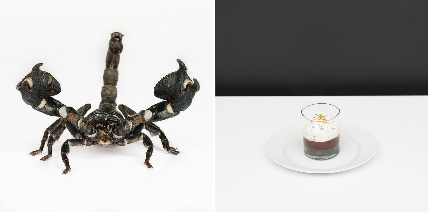 Beatle in the Box - Photographs by Michela Benaglia & Emanuela Colombo ...