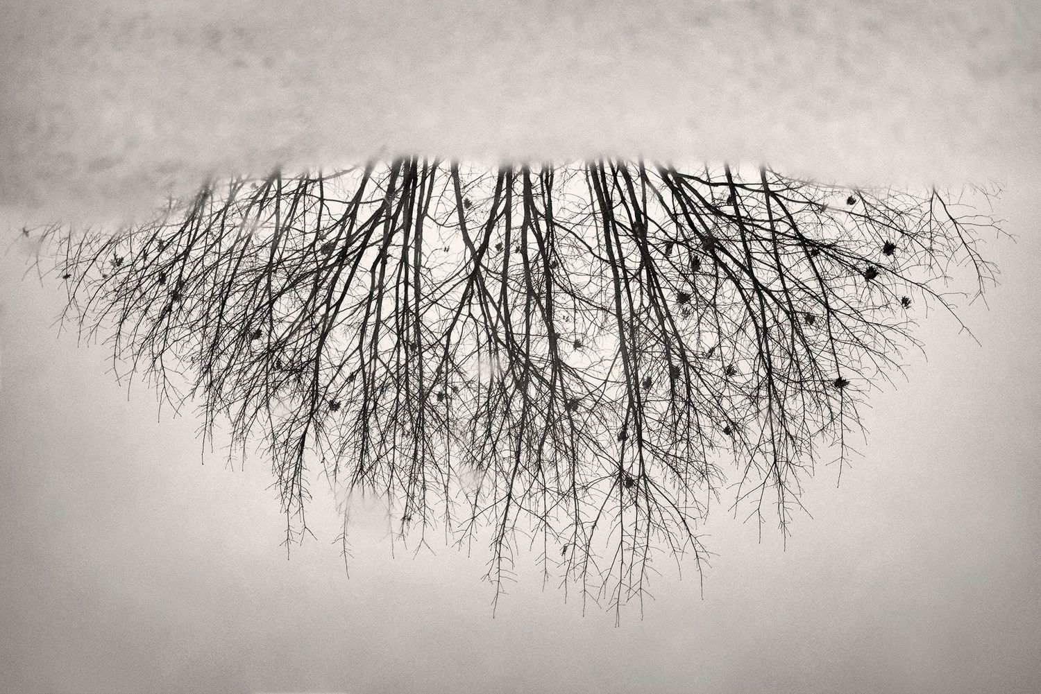 Revelatio: The Unveiling of Fundamental Forms - Photographs and text by ...