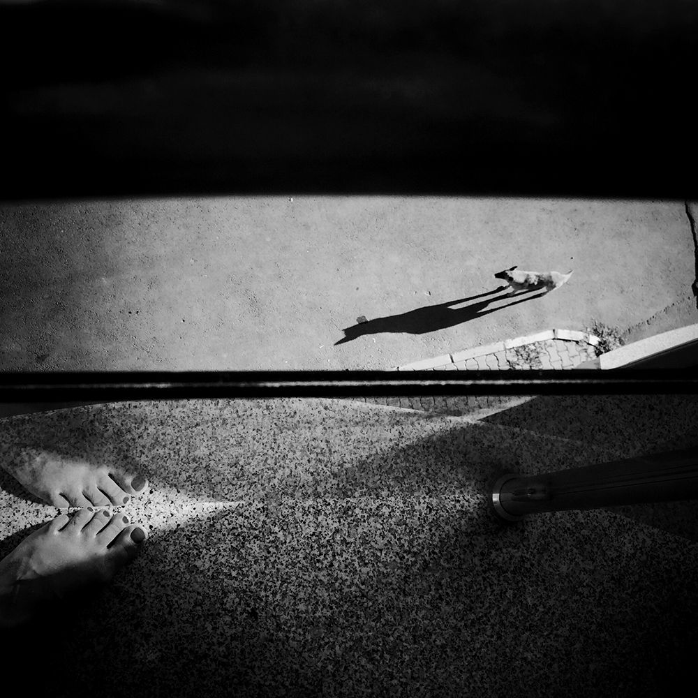 Başıboş: Astray on the Streets of Istanbul - Photographs and text by ...