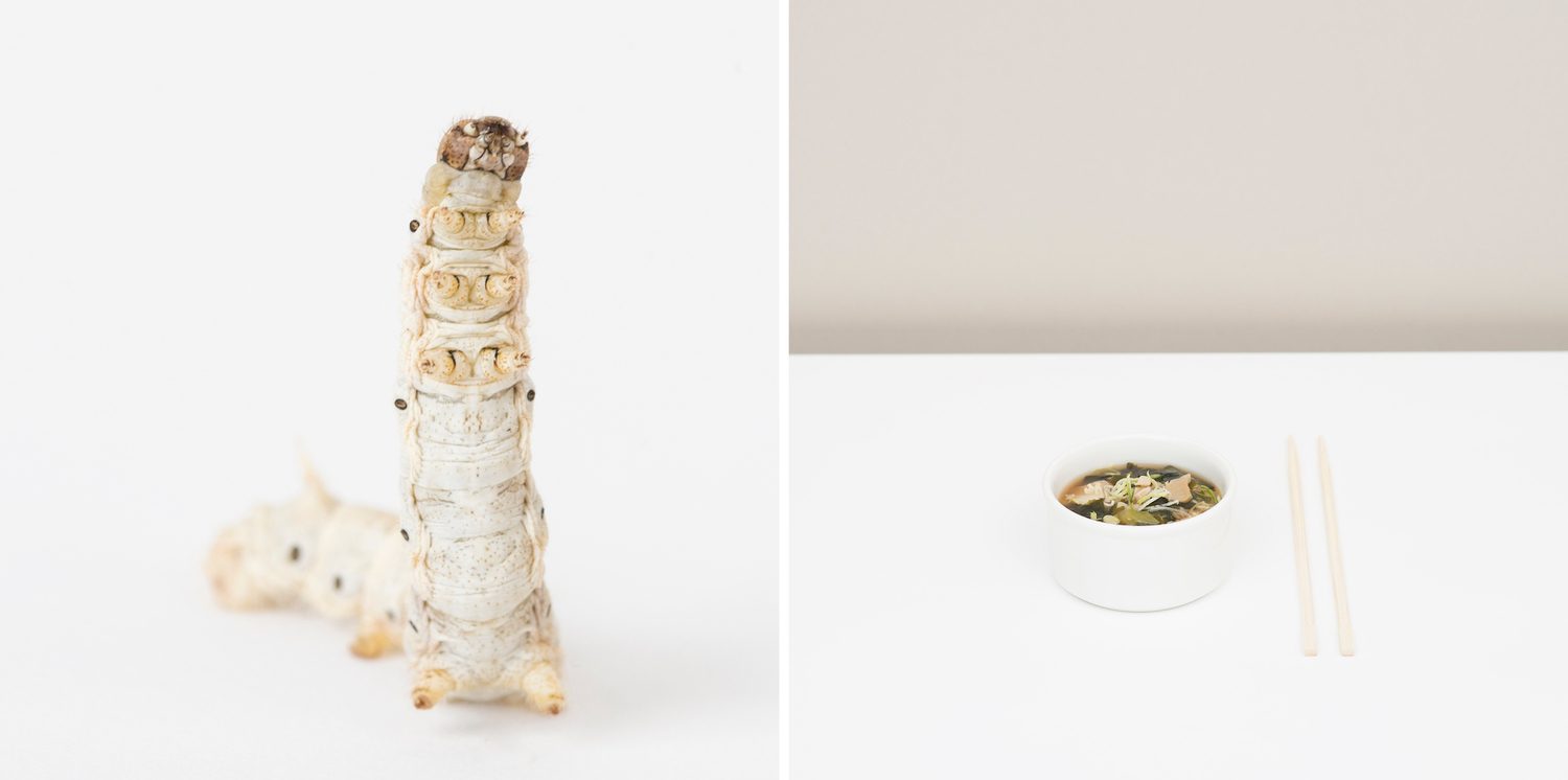 Beatle in the Box - Photographs by Michela Benaglia & Emanuela Colombo ...