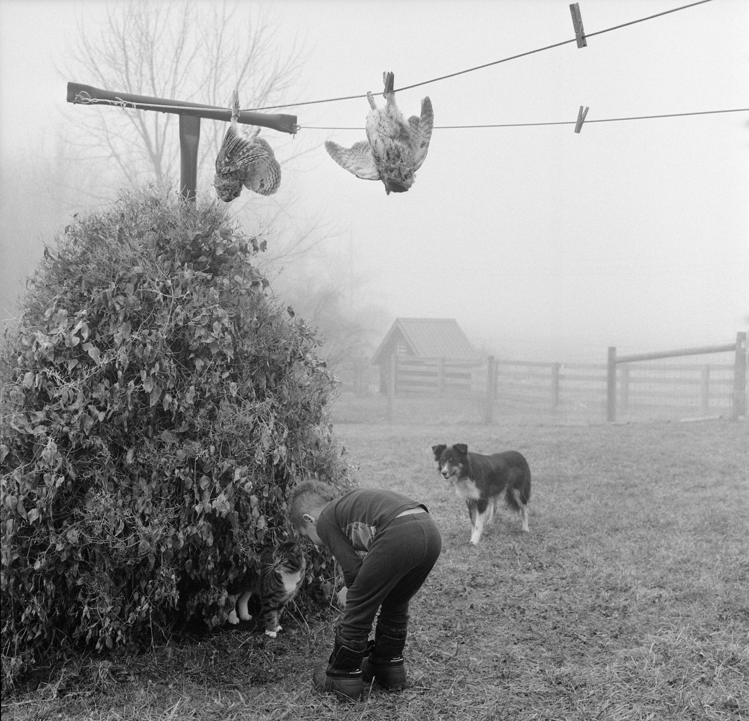 The Seraphim - Photographs by Jesse Lenz | Book review by Justin Herfst ...