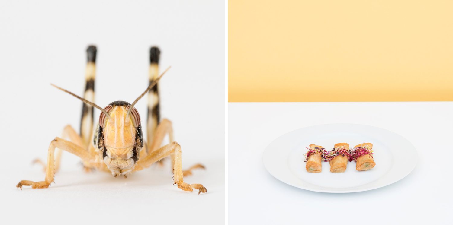 Beatle in the Box - Photographs by Michela Benaglia & Emanuela Colombo ...