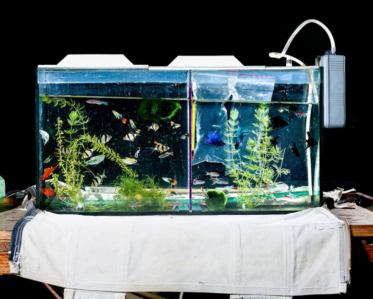 Let Us Not Fall Asleep While Walking - Photographs and book by David ...