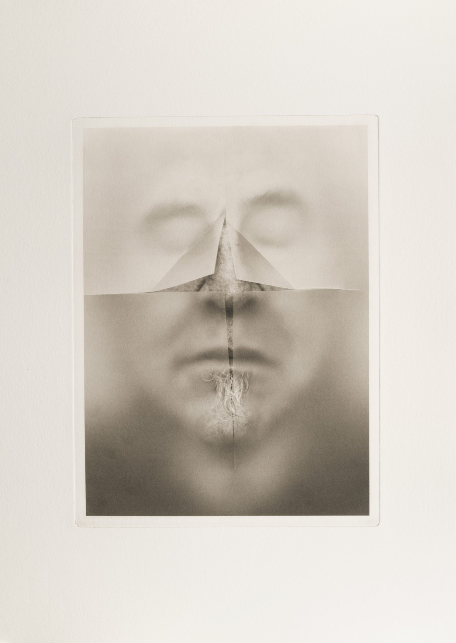 Apparent Close-up - Photographs by Cathy Cone | Text by Magali Duzant ...