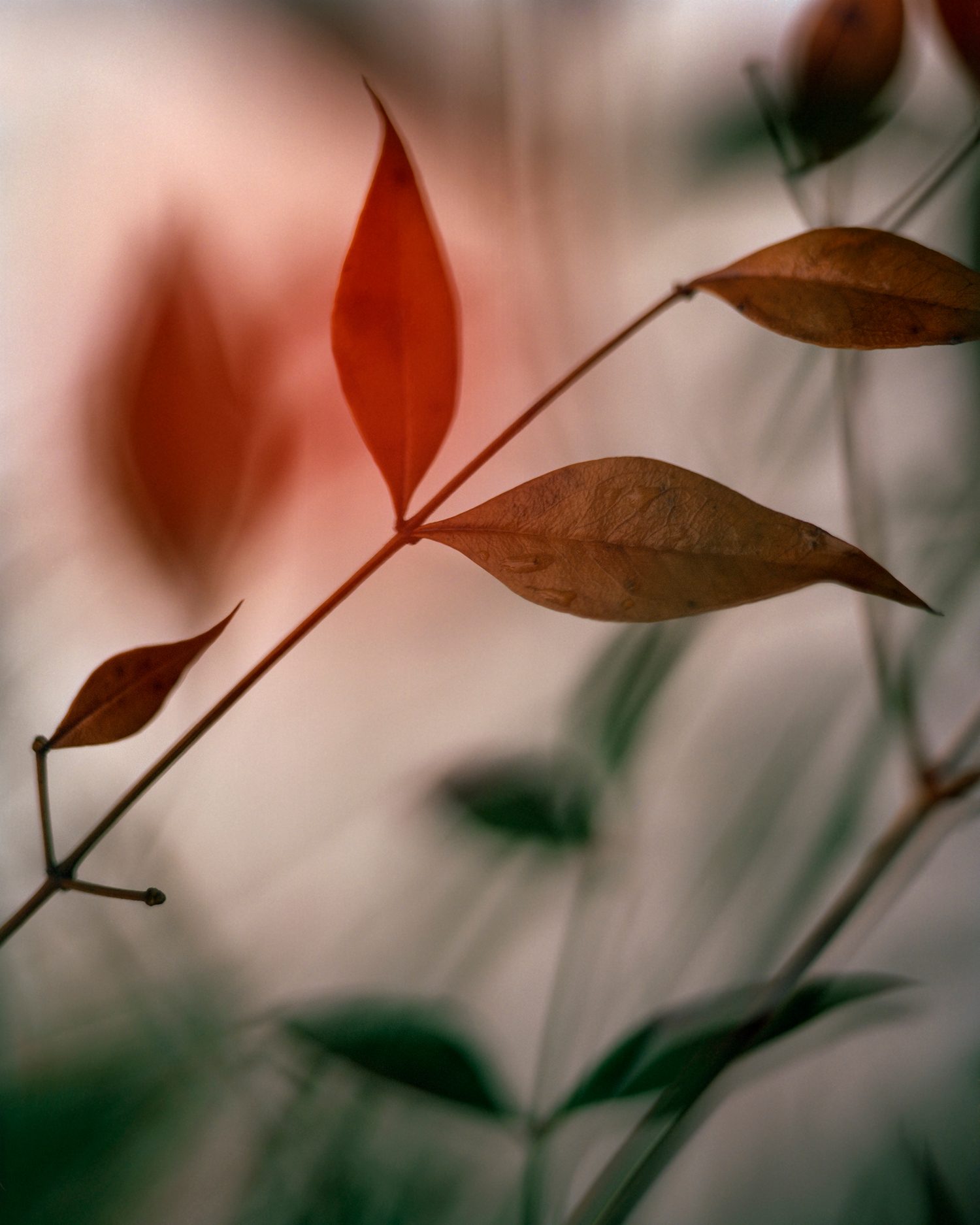 Lakeside - Photographs by Shane Rocheleau | Book review by Magali ...