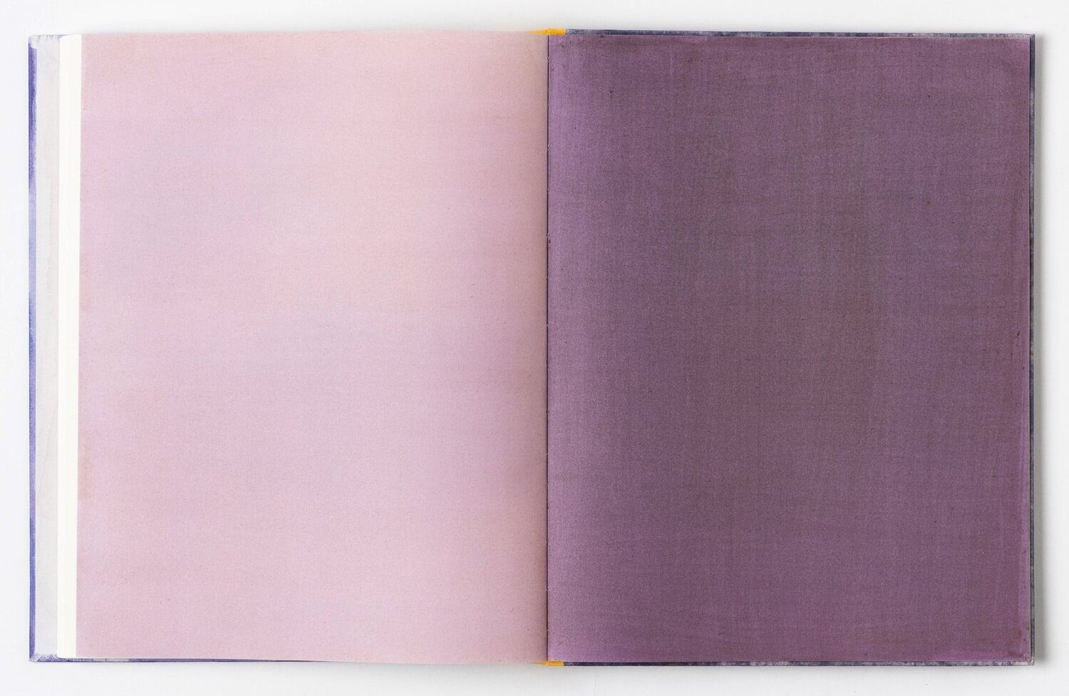 This Earthen Door — Sublime Anthotypes, Preserved Plants & Poetry ...