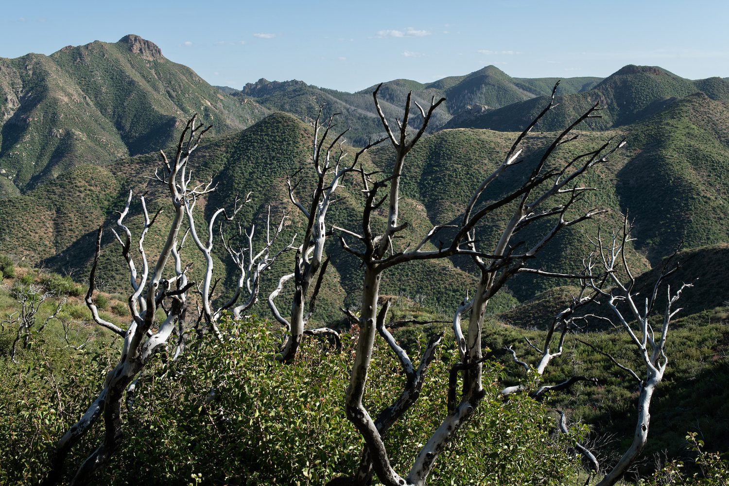 Where the Edges Vanish: Arizona Desert Landscapes - Photographs by ...