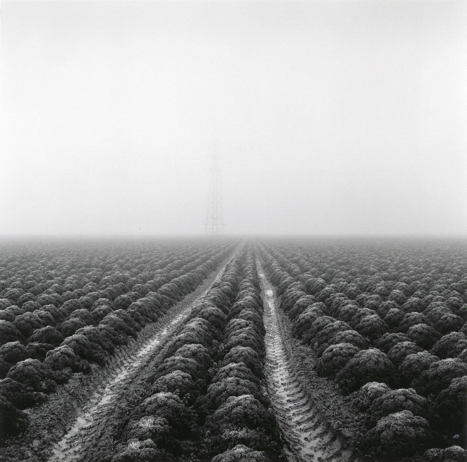 Poetry of Place: Rooted in the English Landscape - Photographs by Paul ...