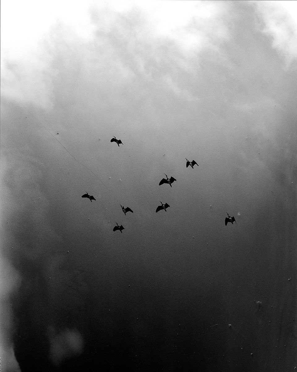 Extraordinary Experiences - Photographs by Morganna Magee | Essay by ...