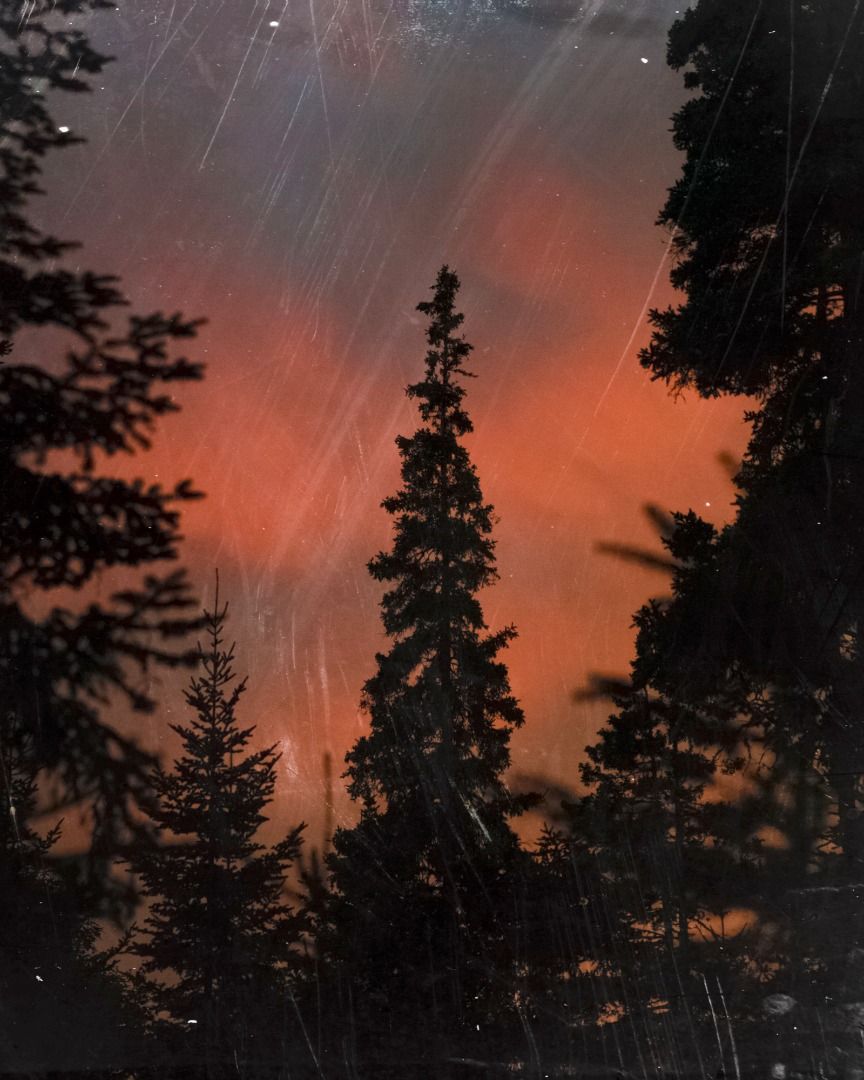 Pine Tree Ballads - Photographs and text by Paul Thulin | LensCulture