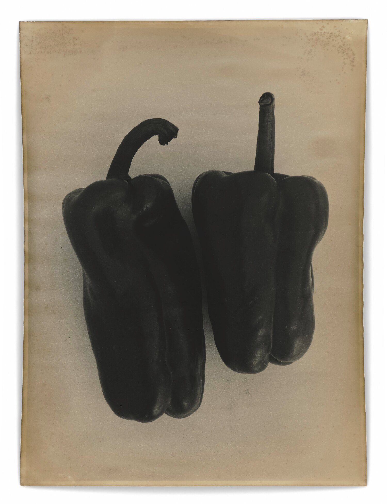 Jeff Cowen Provence Works - Photoworks by Jeff Cowen | Interview by Jim ...