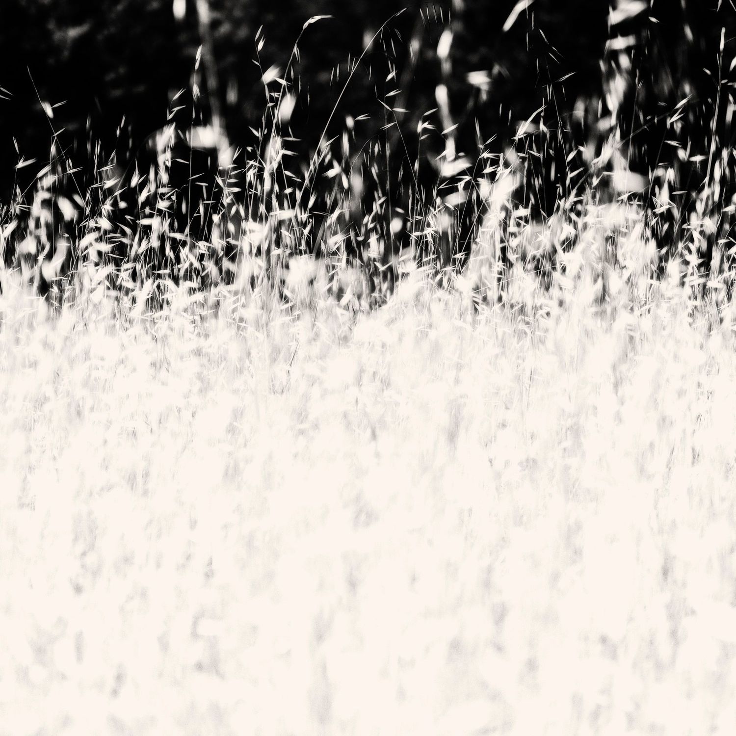 Revelatio: The Unveiling of Fundamental Forms - Photographs and text by ...