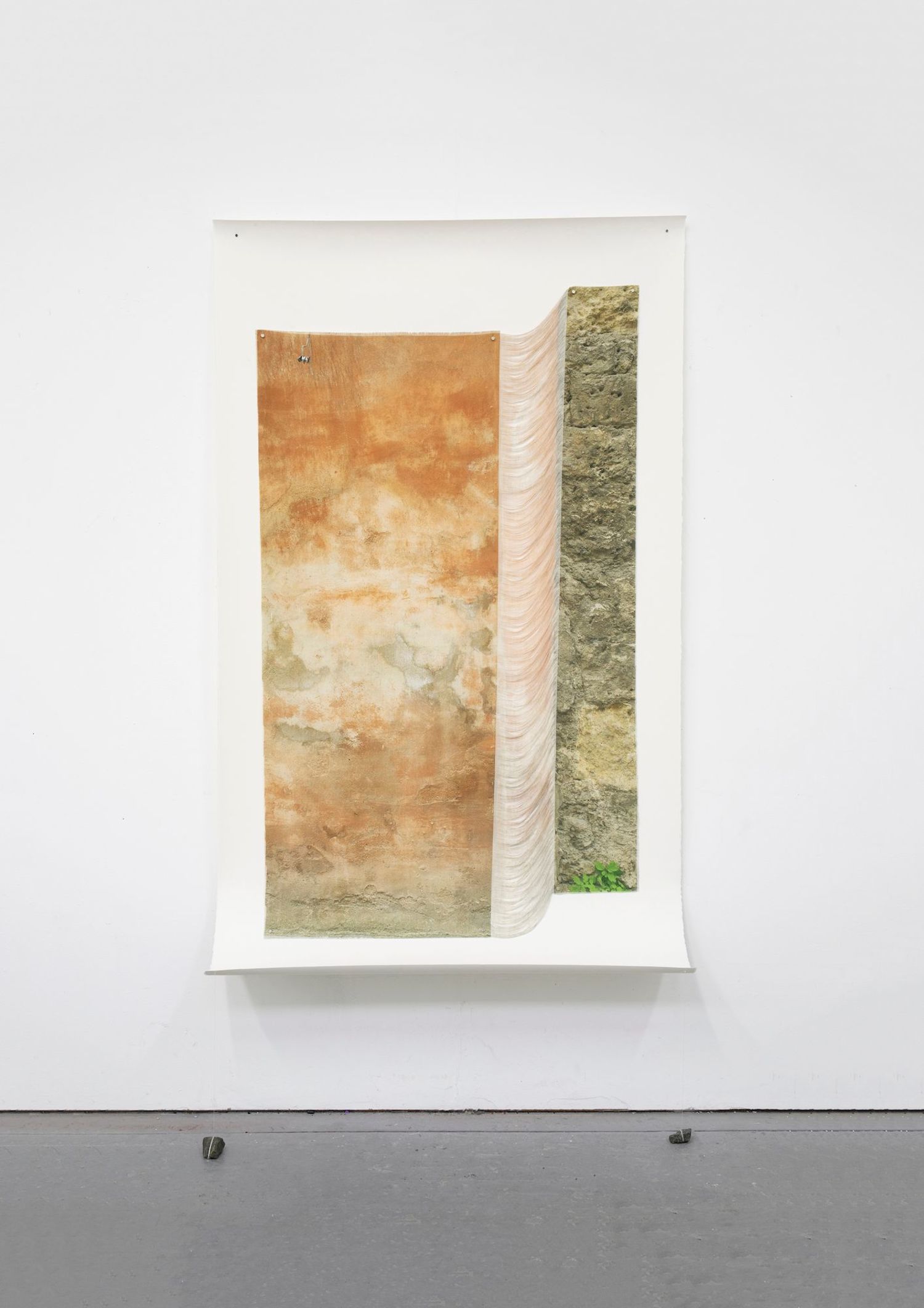 Elastic Forms, Elastic Visions - Photographs by Various Artists | Text ...