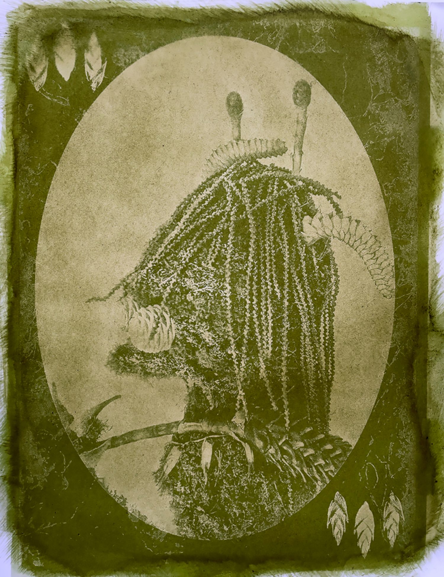 Sanctuary and Abjuration: Sentinels of the Ghostwood - Photographs by ...