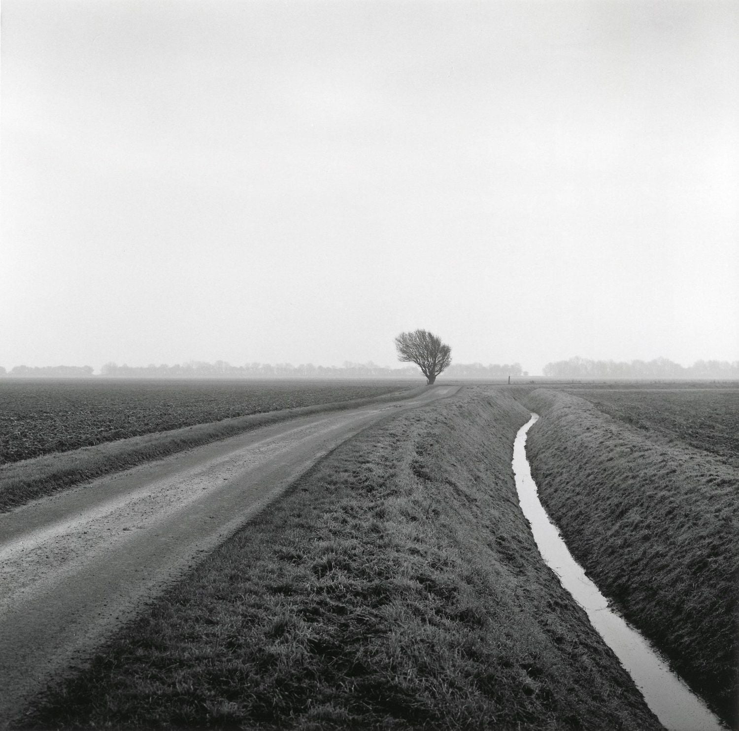 Poetry of Place: Rooted in the English Landscape - Photographs by Paul ...