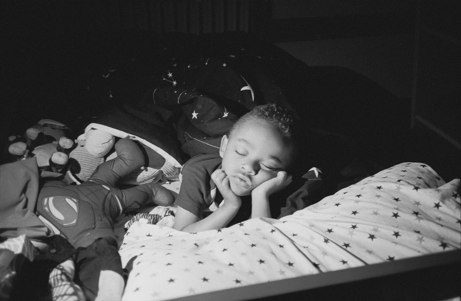 The Locusts - Photographs by Jesse Lenz | Book review by Justin Herfst ...