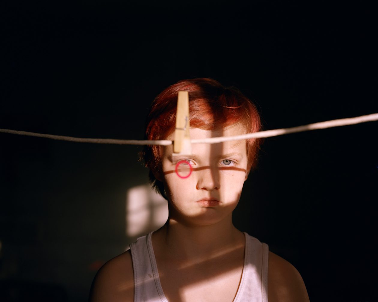 Bittersweet on Bostwick Lane - Photographs and text by Susan Worsham ...