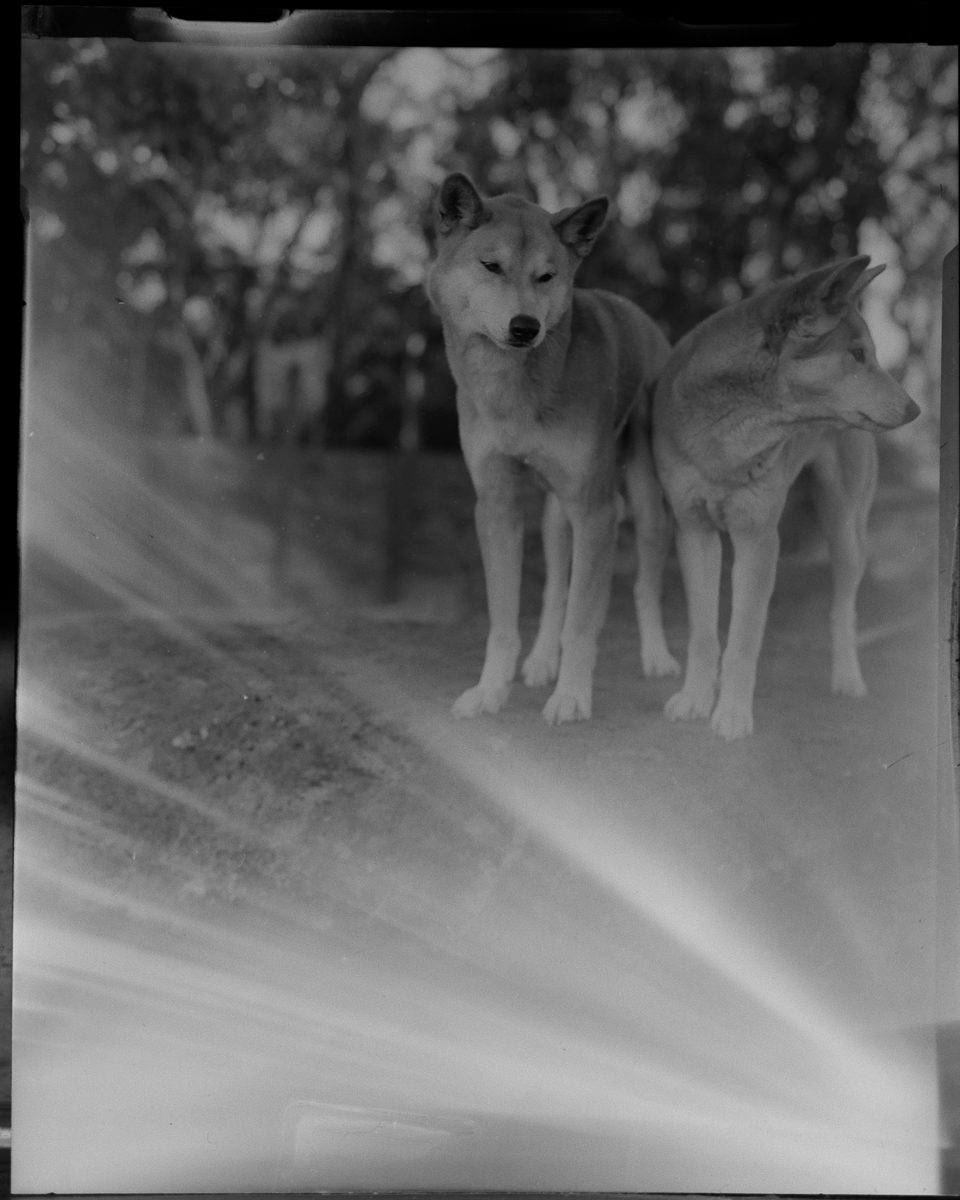 Extraordinary Experiences - Photographs by Morganna Magee | Essay by ...