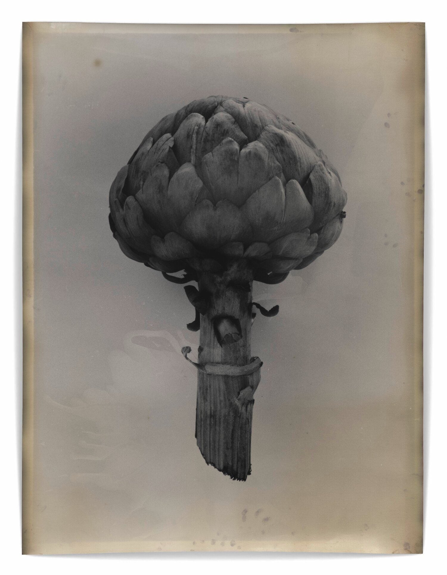 Jeff Cowen Provence Works - Photoworks by Jeff Cowen | Interview by Jim ...