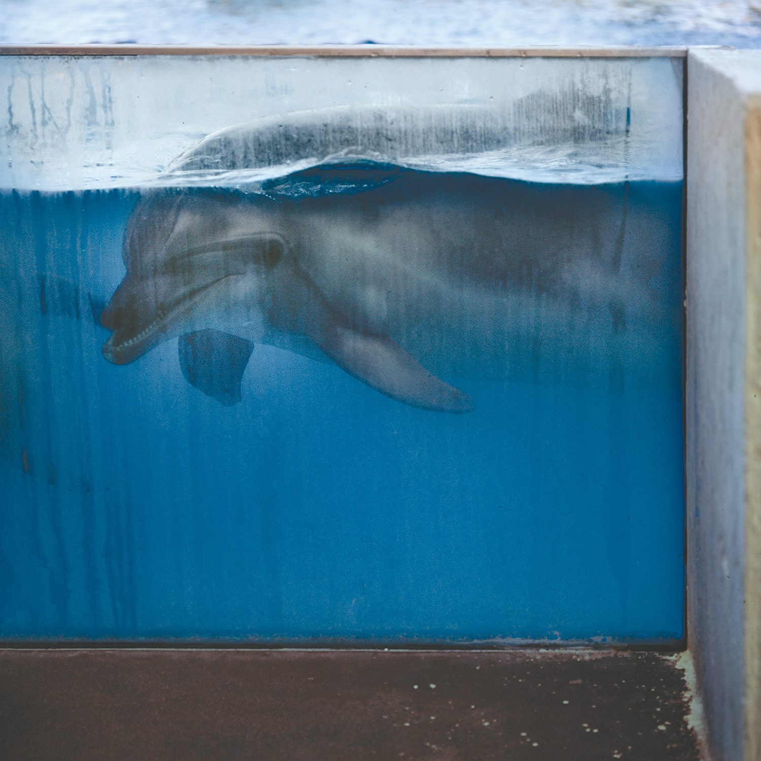 Parallel Crisis - Photographs by Yannis Karpouzis | Book review by ...