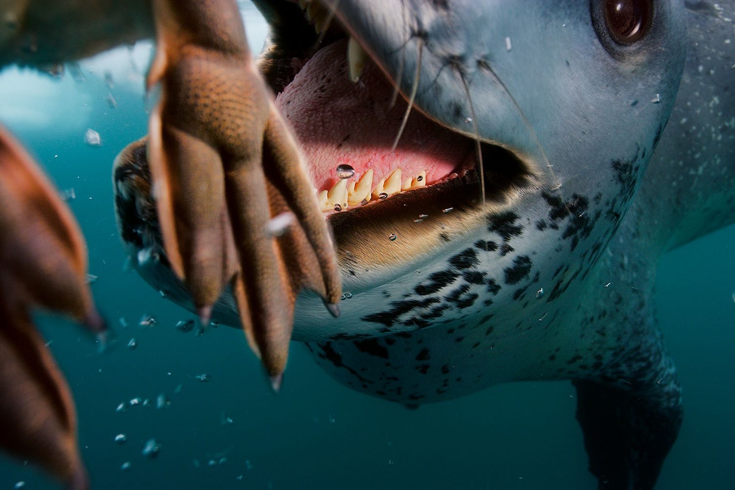 Behind the Scenes with Sarah Leen, National Geographic’s Director of ...