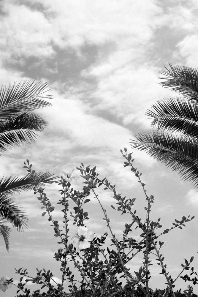 Summertime - Photographs and text by Maria Sainz Arandia | LensCulture