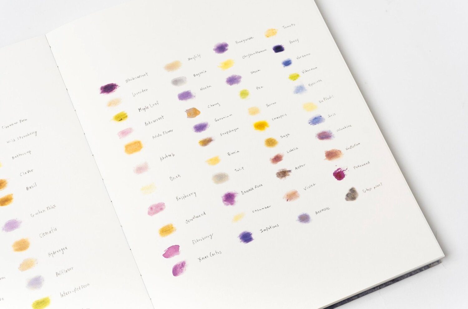 This Earthen Door — Sublime Anthotypes, Preserved Plants & Poetry ...