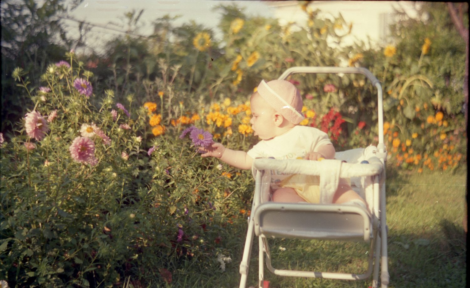 Unlike flowers, she won’t come back with spring - Photographs by ...