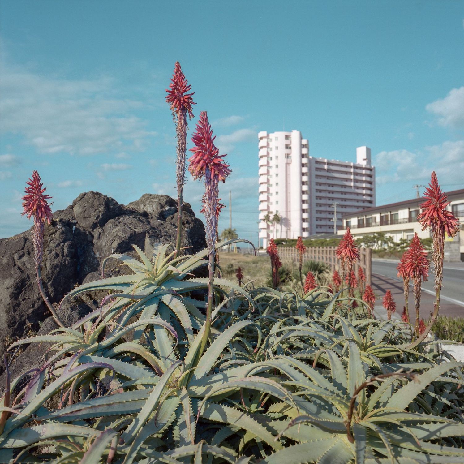 SHiMA: A Journey Along Japan’s Coasts - Photographs and text by Sylvain ...