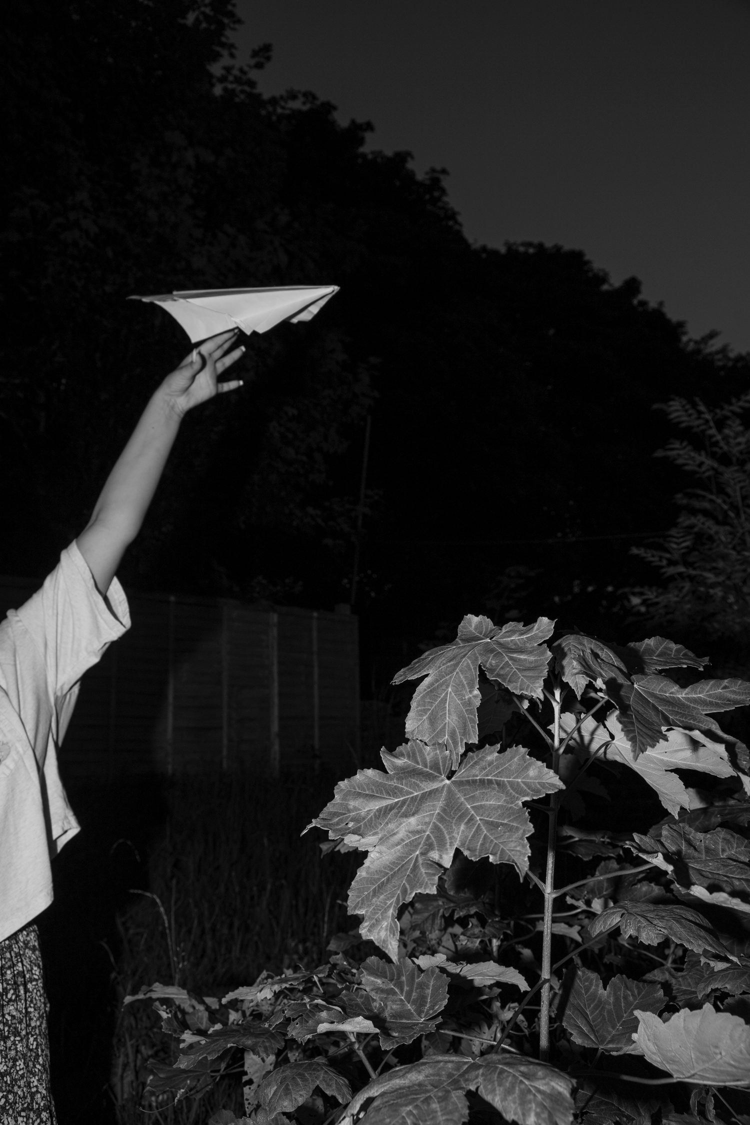 New Moons - Photographs by Ada Marino | Essay by Sophie Wright ...