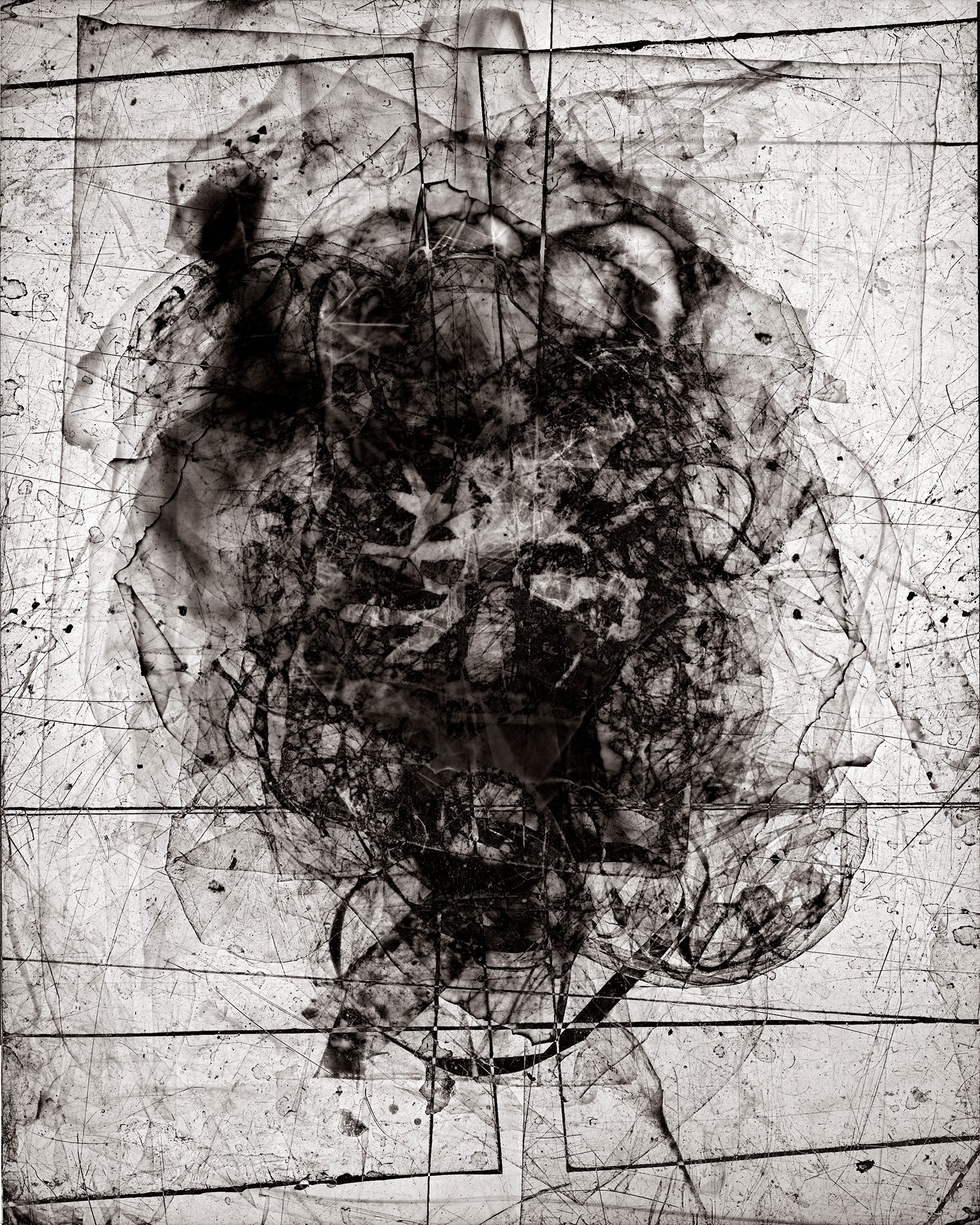 Forever - Photographs and text by Paul Rider | LensCulture