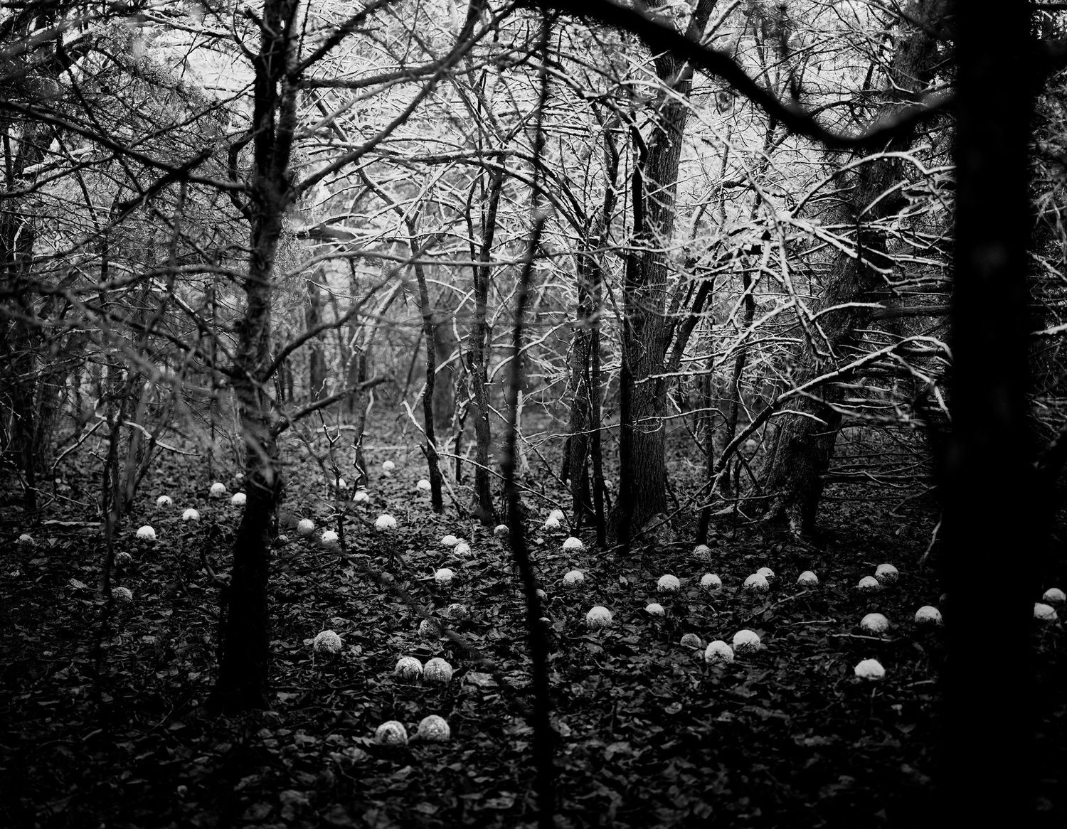 The Hereditary Estate - Photographs and text by Daniel Coburn | LensCulture